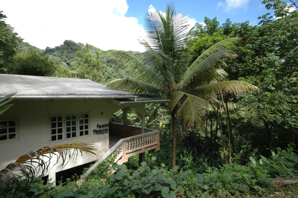 Cameron Canal Road - Caribbean Estates