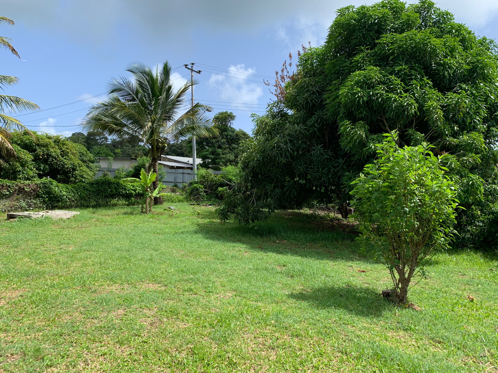 Carnbee - Caribbean Estates